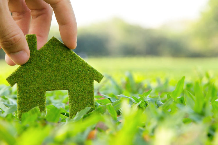 Building an Eco-Friendly House: A Step-by-Step Guide – Ecoinnovation ...